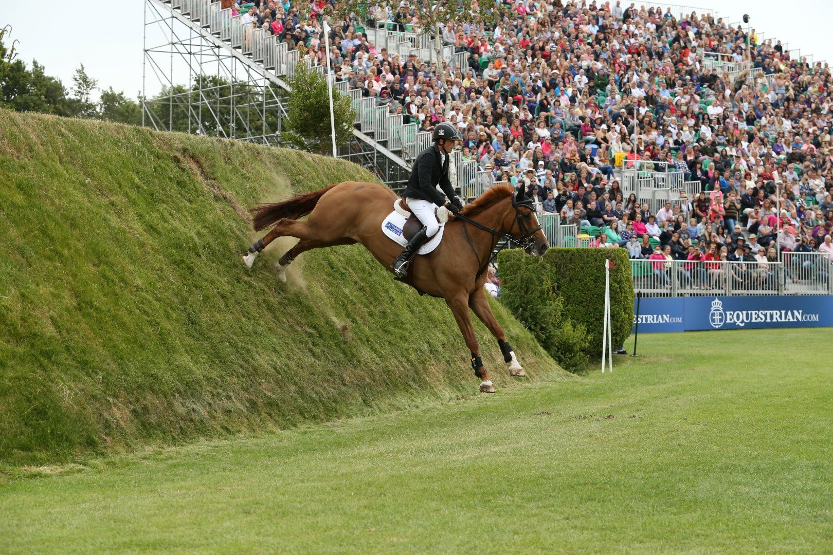 42 Irish bred Showjumpers represent 5 nations at Hickstead CSI4* | General