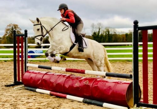 Kate - a truly special mare! A mothers dream!