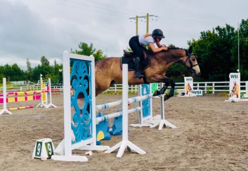 Shadow: rare combo of talented scope and quiet ride, amateur dream horse
