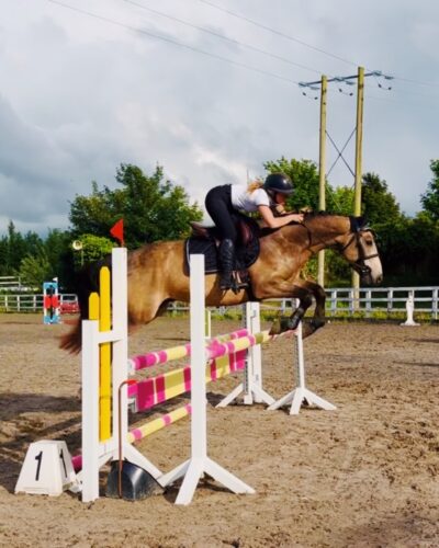 Shadow: rare combo of talented scope and quiet ride, amateur dream horse