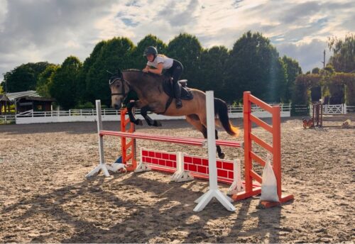 Shadow: rare combo of talented scope and quiet ride, amateur dream horse
